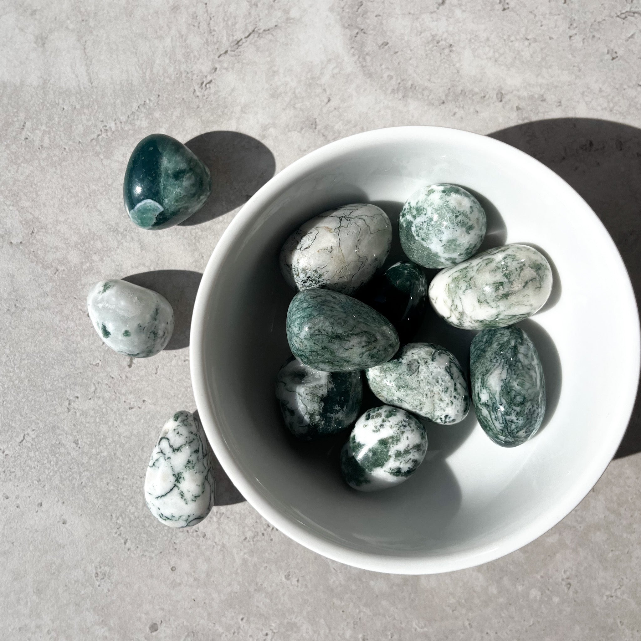 Tree Agate Tumbles – Sacobe Collective